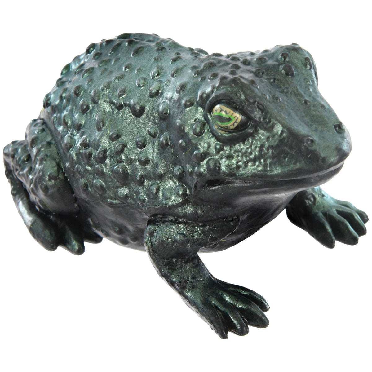 Large Iridescent Toad – Fun Services Colorado