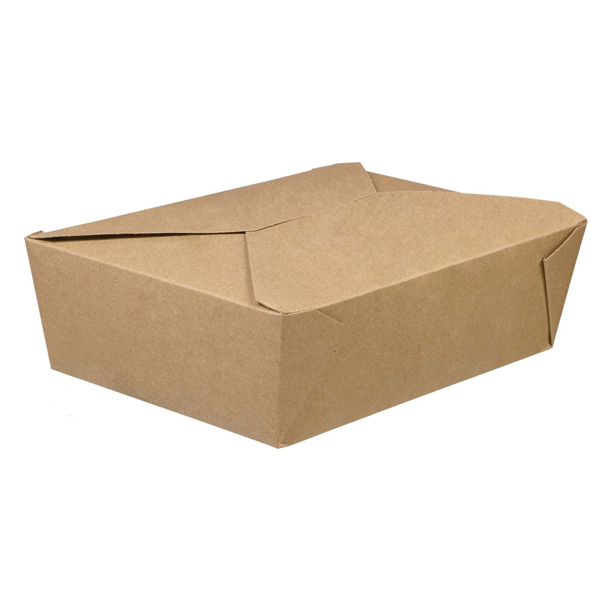 Large Take Away Box 5ct – Fun Services Colorado