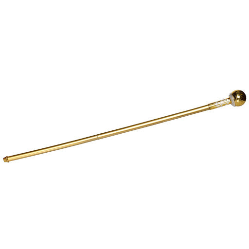 Pimp Cane – Fun Services Colorado