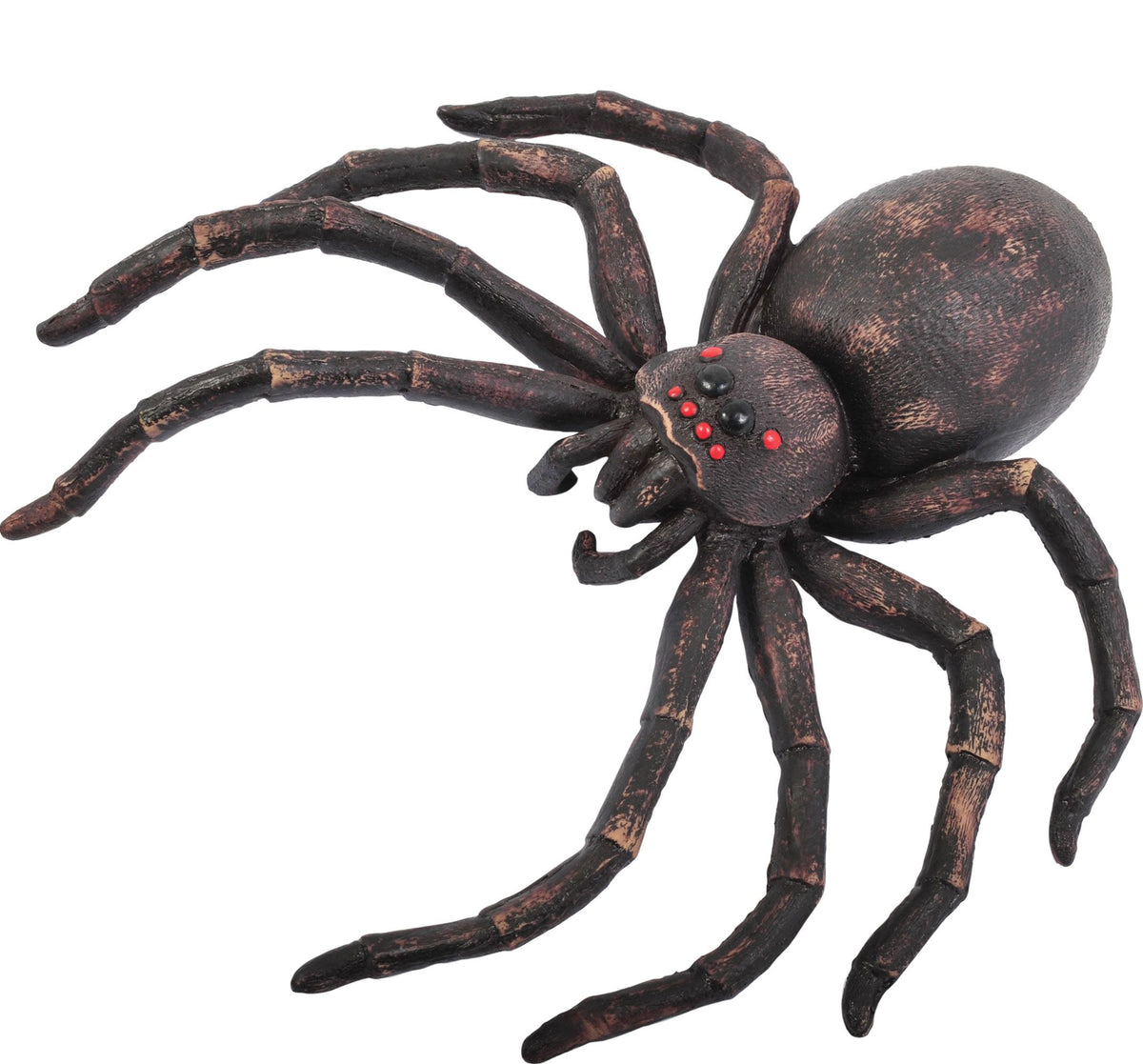 12" Tarantula – Fun Services Colorado